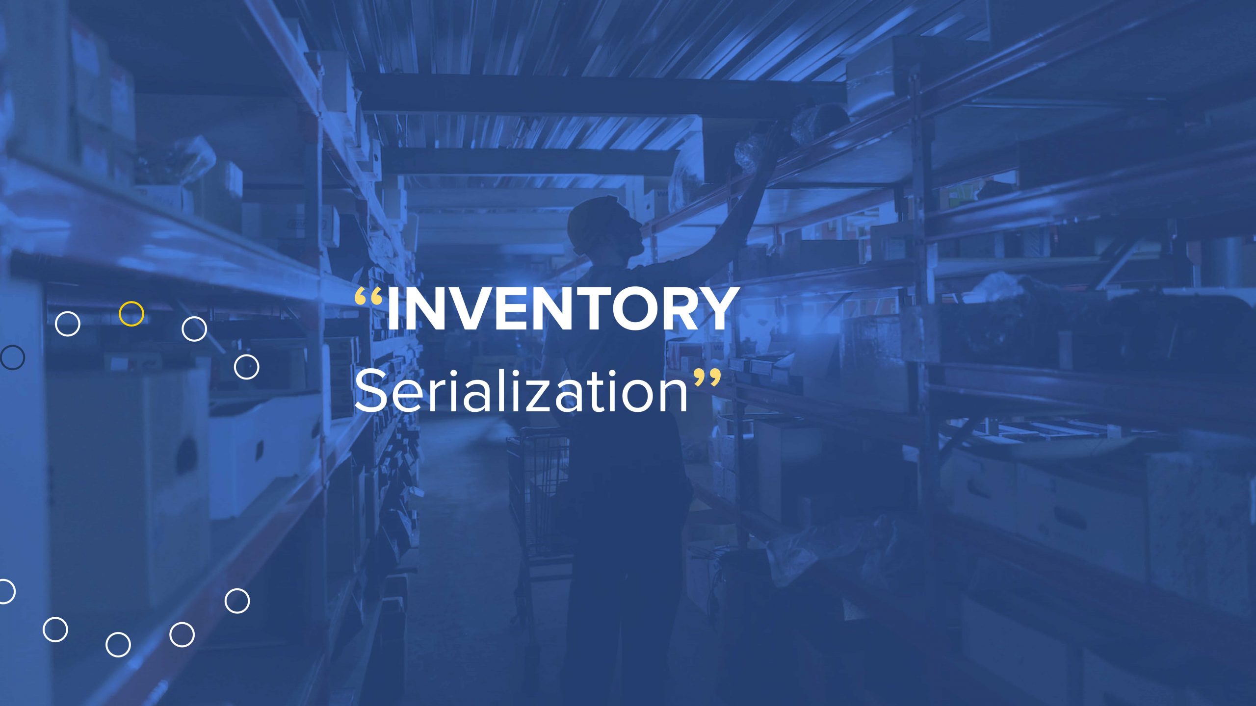 What is Inventory Serialization in the Retail Industry?